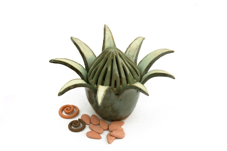 Cactus Flower Pod Spa Handmade Pottery - Etsy