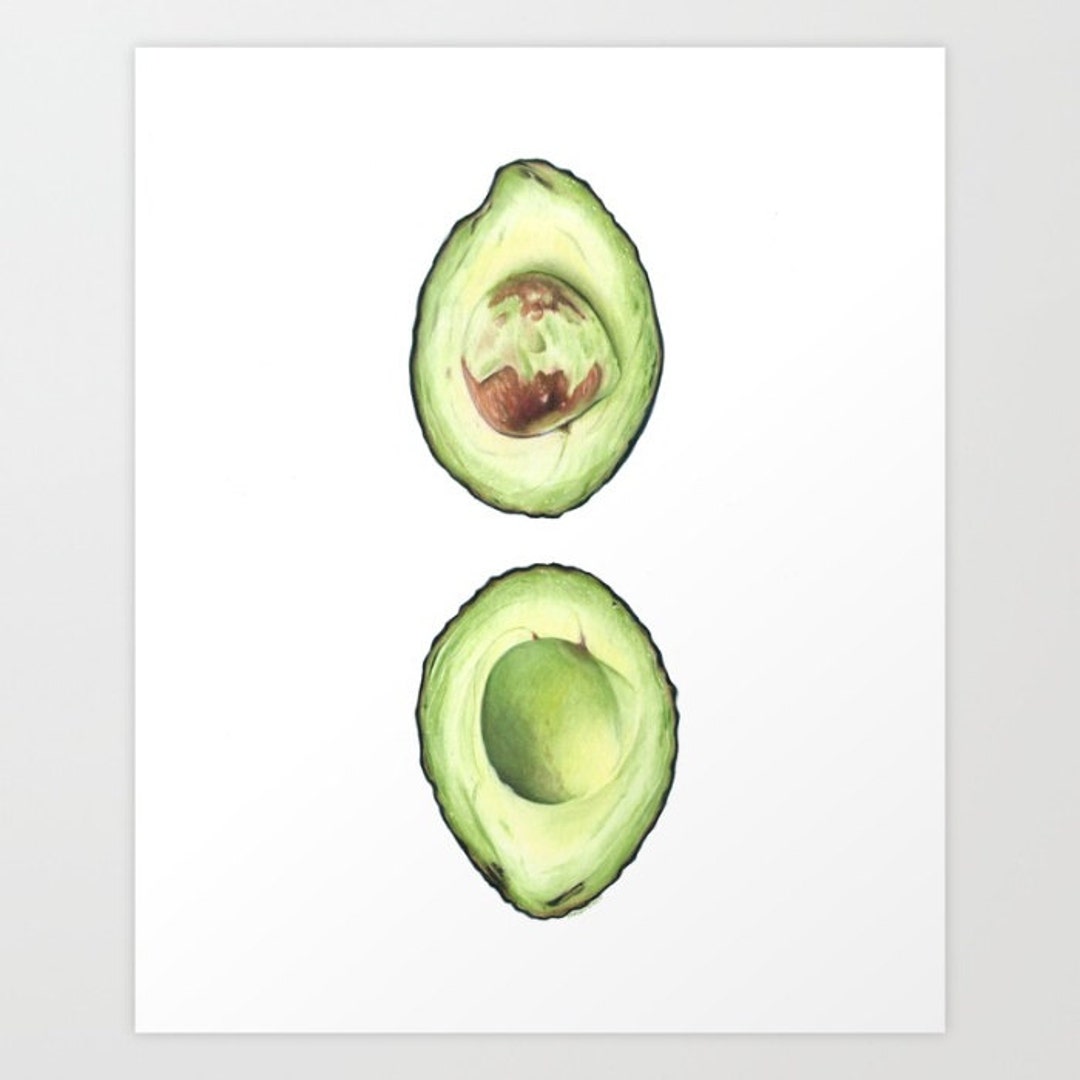 Avocado 2 - Colored Pencil Drawing - Art Print - Etsy