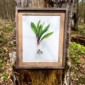 Ramps - Colored Pencil Drawing - Art Print - Etsy