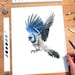 Blue Jay Colored Pencil Drawing Art Print - Etsy