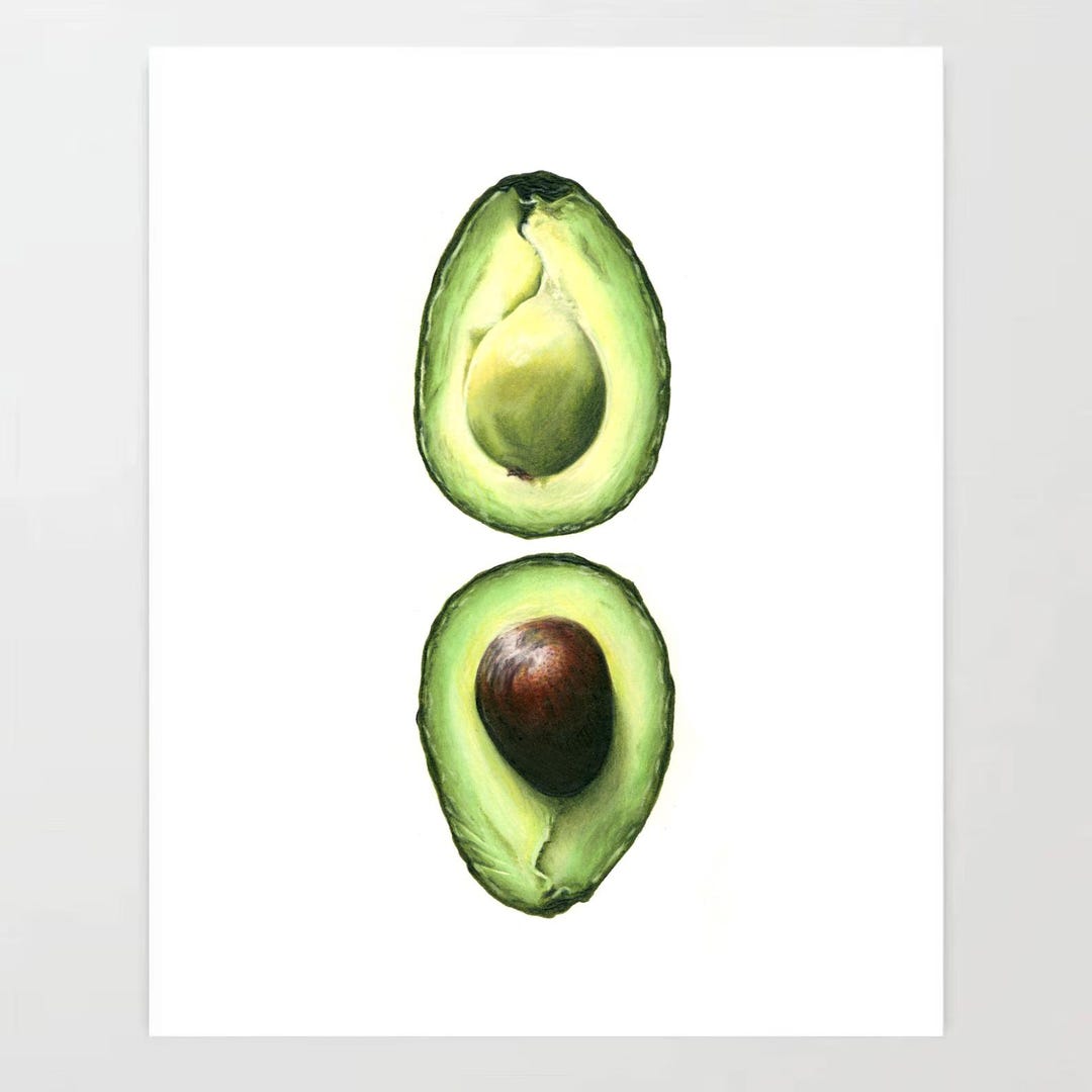 Avocado - Colored Pencil Drawing - Art Print - Etsy
