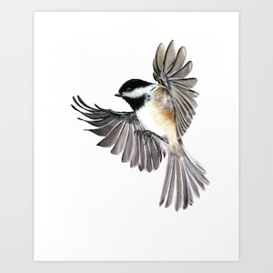 Chickadee - Colored Pencil Drawing - Art Print - Etsy