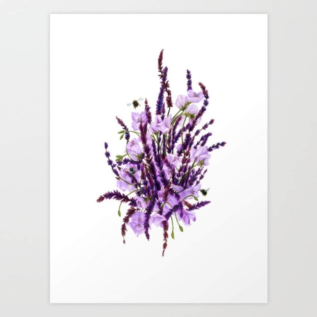 Lavender Floral - Colored Pencil Drawing - Art Print - Etsy