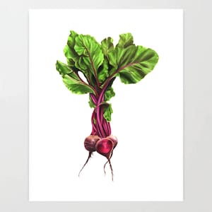 Beets - Colored Pencil Drawing - Art Print - Etsy