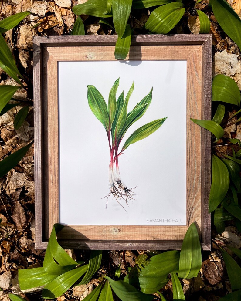 Ramps Colored Pencil Drawing Art Print - Etsy