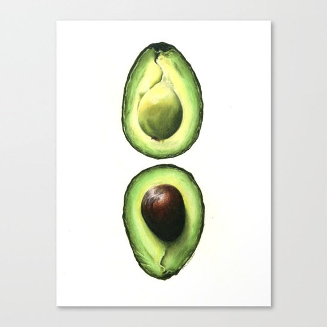 Avocado Colored Pencil Drawing Art Print - Etsy
