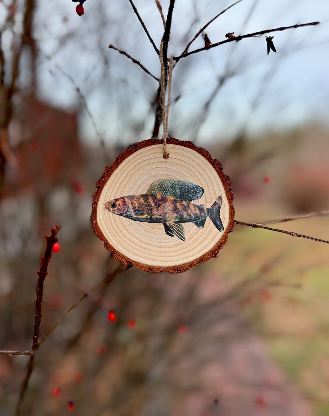 Arctic Grayling Drawing - Wood Slice Ornament - Etsy