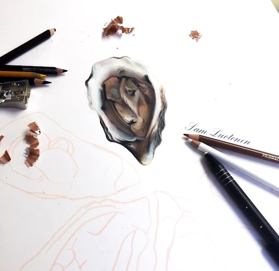 Oyster Half Shell Drawing