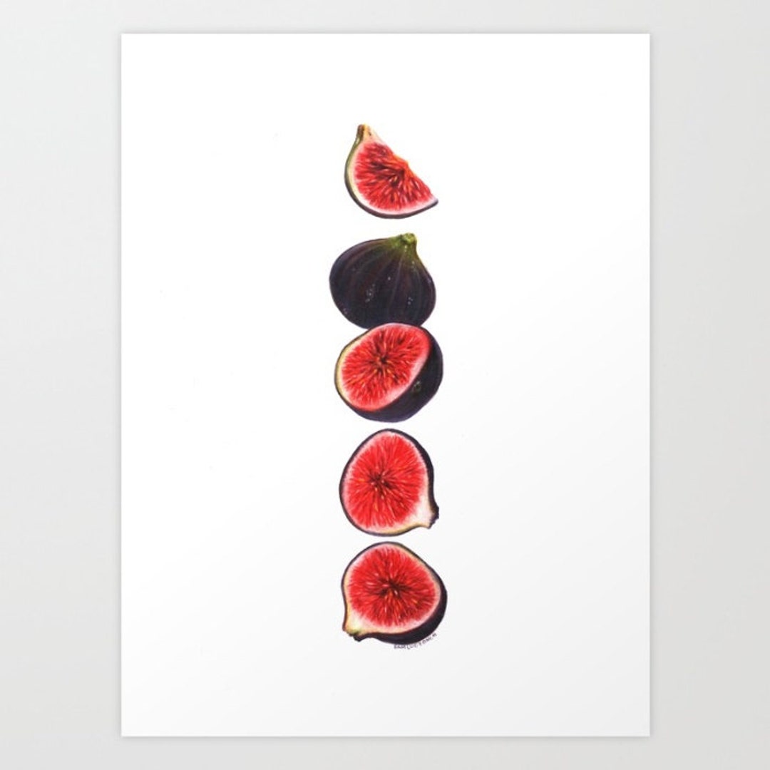 Figs - Colored Pencil Drawing - Art Print - Etsy
