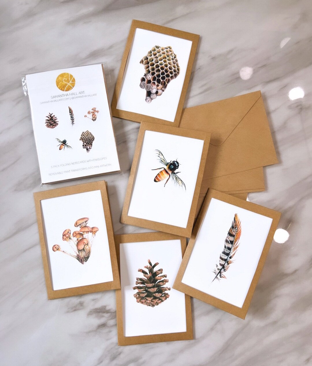 5-pack nature Drawing Note Cards With Envelopes - Etsy