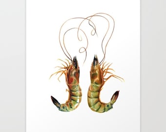 Shrimp Print | Etsy