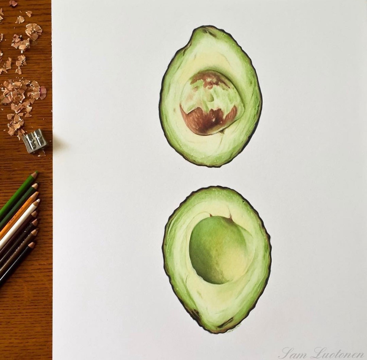 Avocado Pencil Drawing