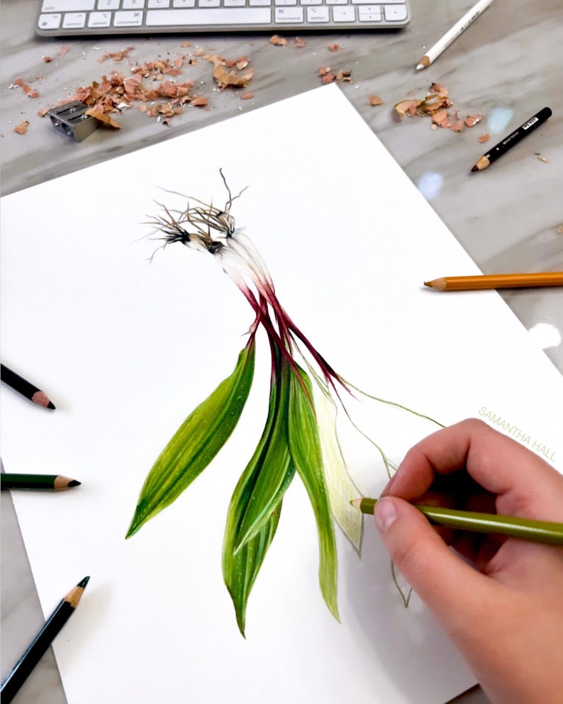 Ramps Colored Pencil Drawing Art Print - Etsy