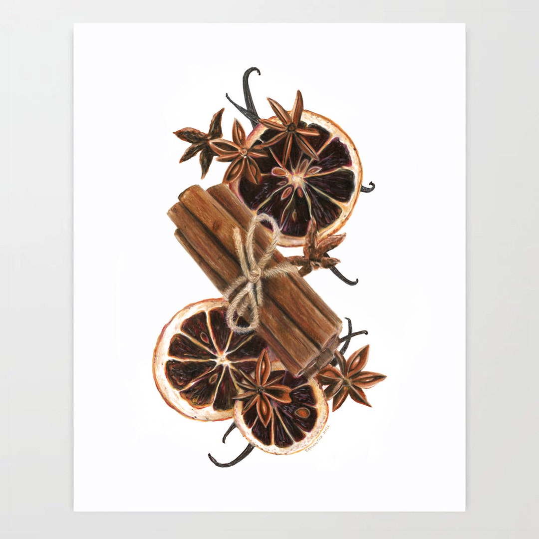 Mulling Spices - Colored Pencil Drawing - Art Print - Etsy