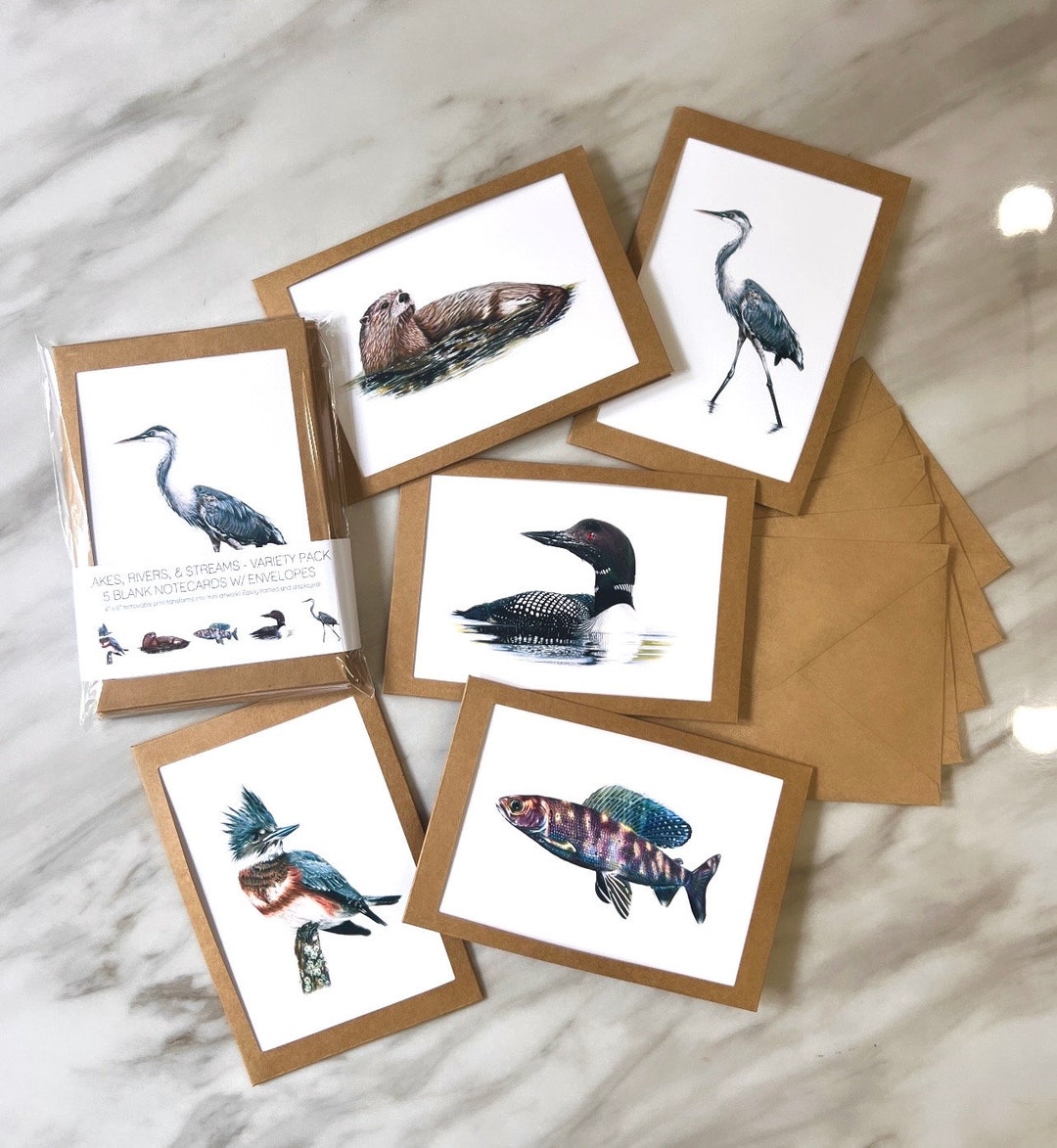 5-pack lakes, Rivers, & Streams Drawing Note Cards With Envelopes - Etsy