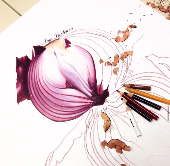 Red Onion Drawing