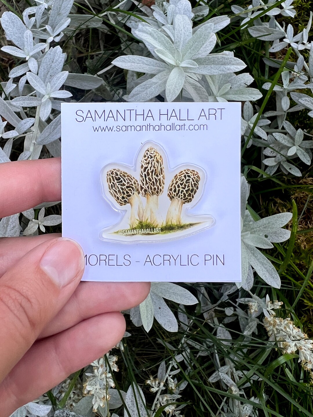Morel Mushrooms Acrylic Pin - Colored Pencil Drawing - Etsy