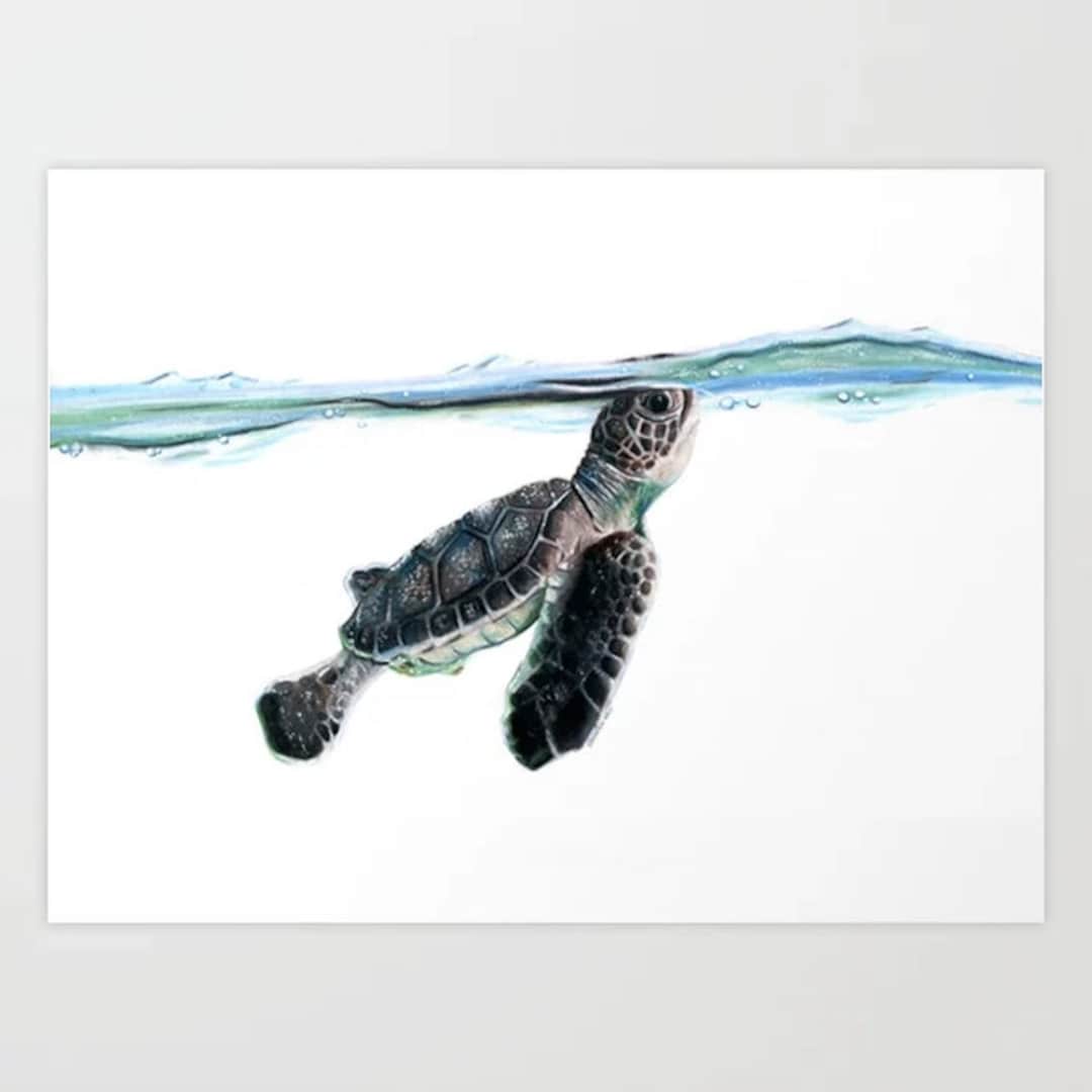 Baby Sea Turtle - Colored Pencil Drawing - Art Print - Etsy