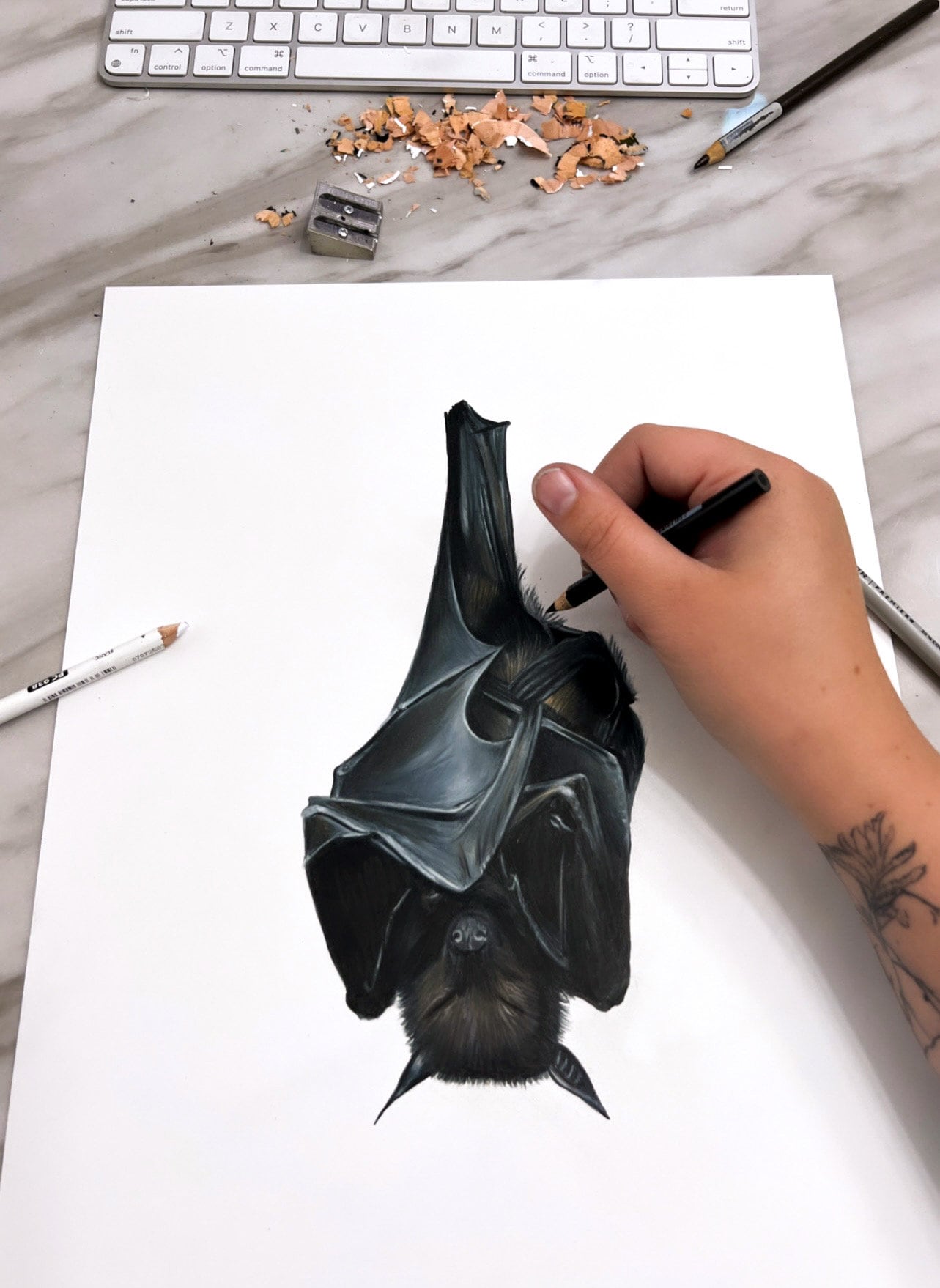 Bat - Colored Pencil Drawing - Art Print - Etsy