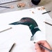 Common Loon - Colored Pencil Drawing - Art Print - Etsy Canada