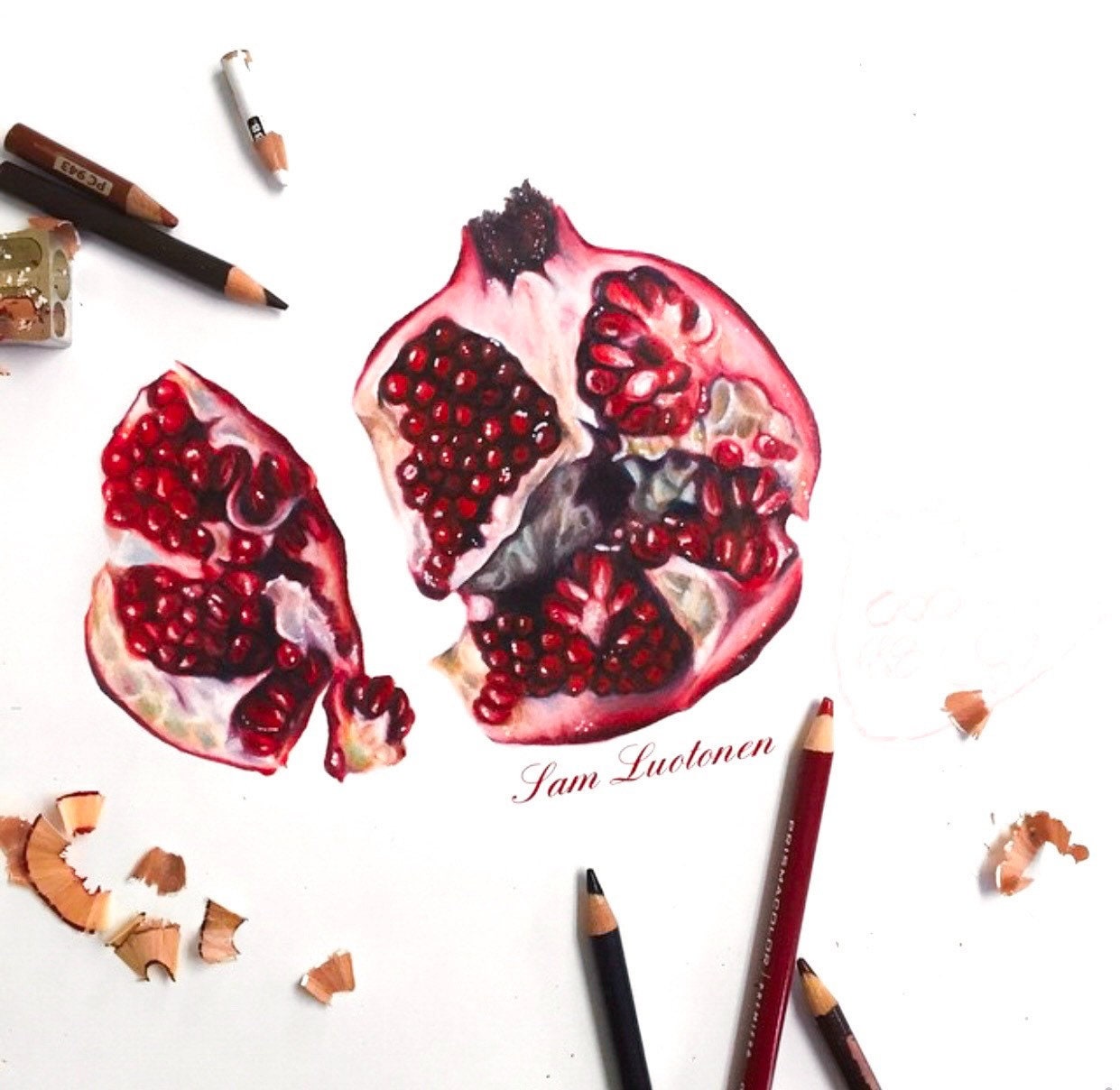 Pomegranate Pencil Drawing