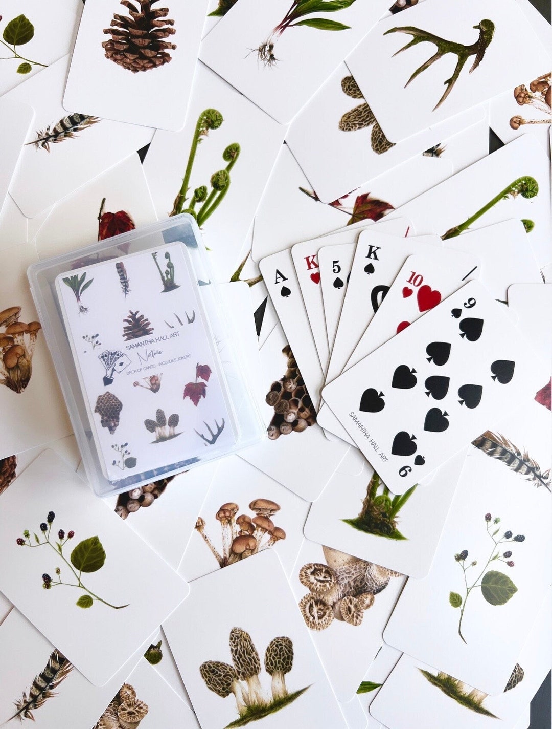 Nature - Playing Cards - Colored Pencil Drawings - Etsy