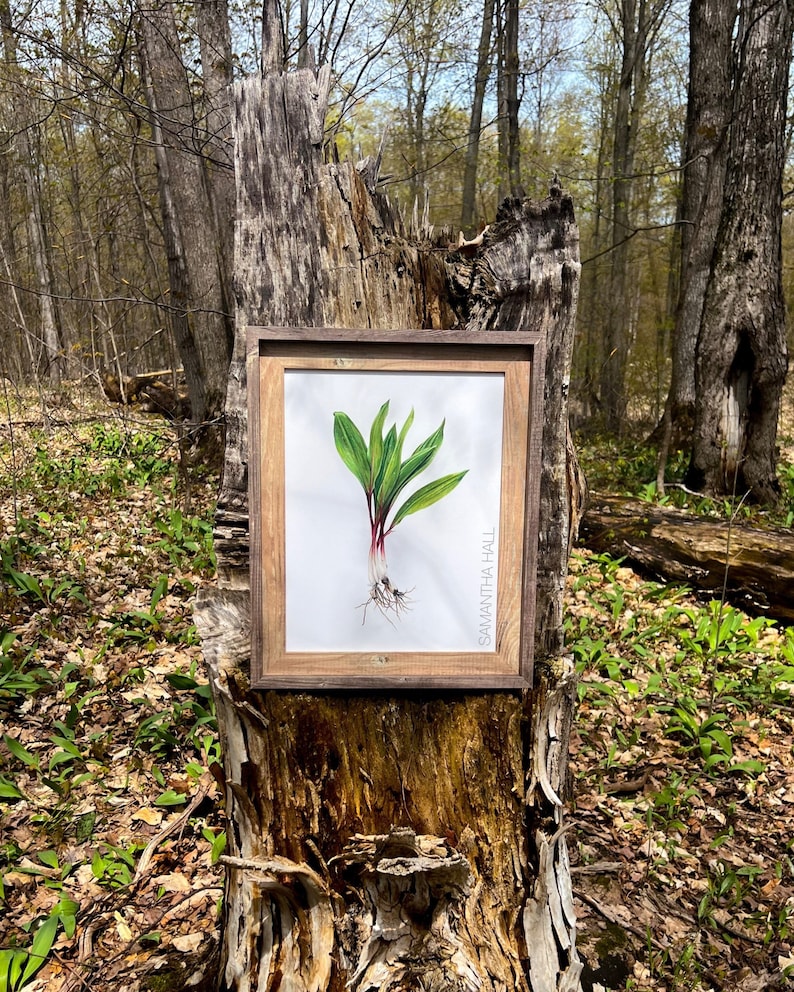 Ramps Colored Pencil Drawing Art Print - Etsy