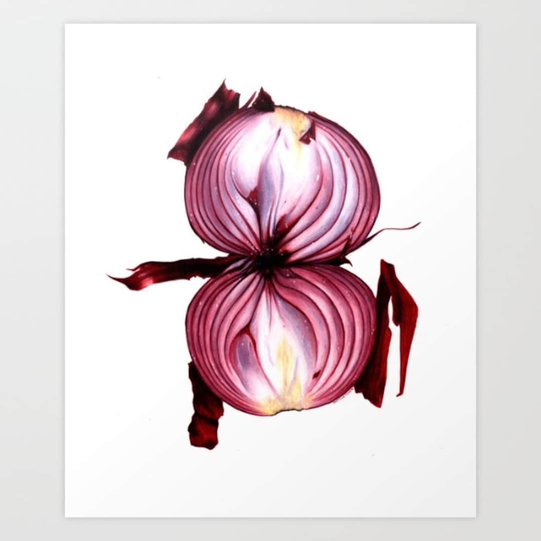 Red Onion - Colored Pencil Drawing - Art Print - Etsy