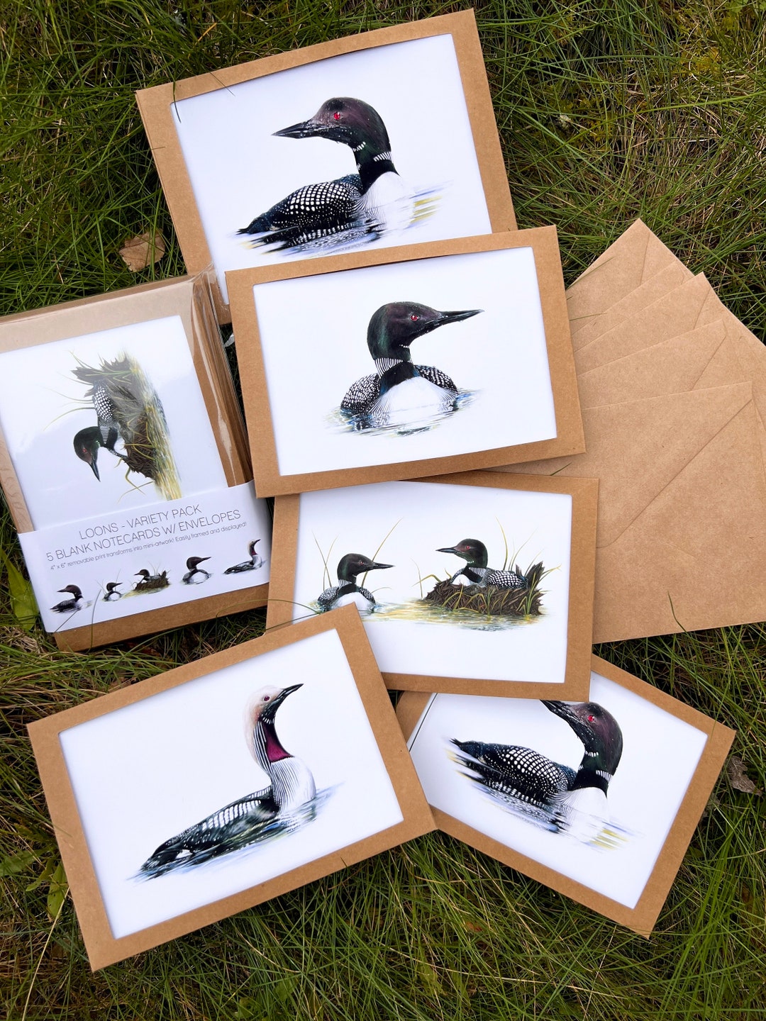 5-pack "loons" Drawing Note Cards With Envelopes - Etsy
