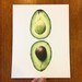 Avocado - Colored Pencil Drawing - Art Print - Etsy