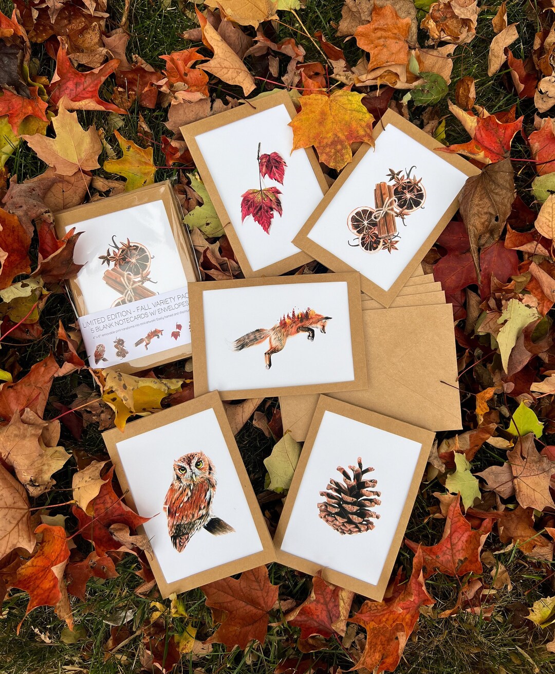 5-pack "fall" Drawing Note Cards With Envelopes - Etsy