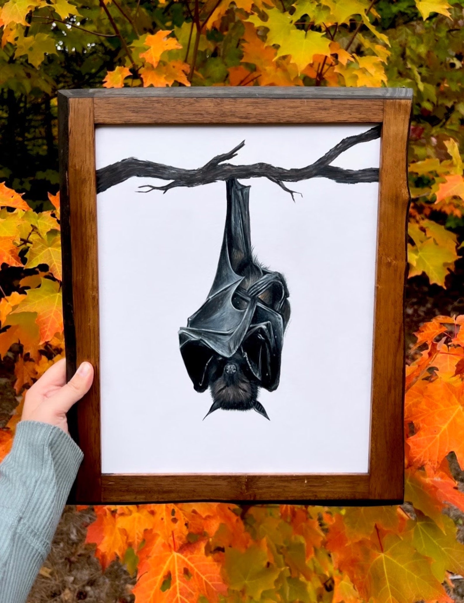 Bat - Colored Pencil Drawing - Art Print - Etsy