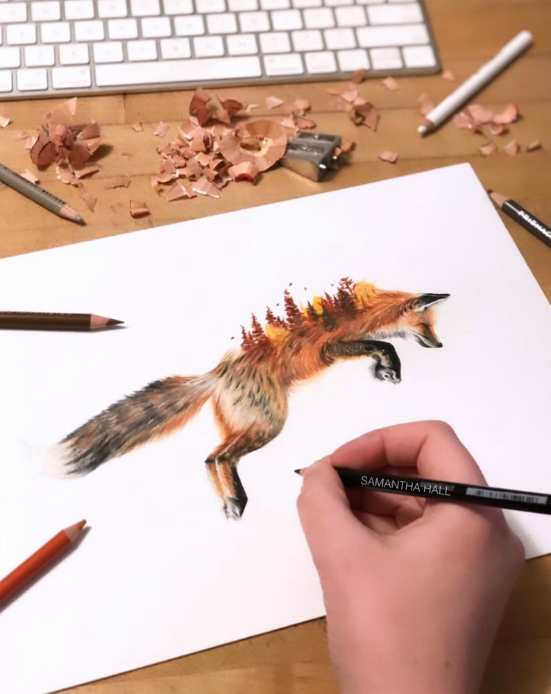 Joe's Fox - Colored Pencil Drawing - Art Print - Etsy