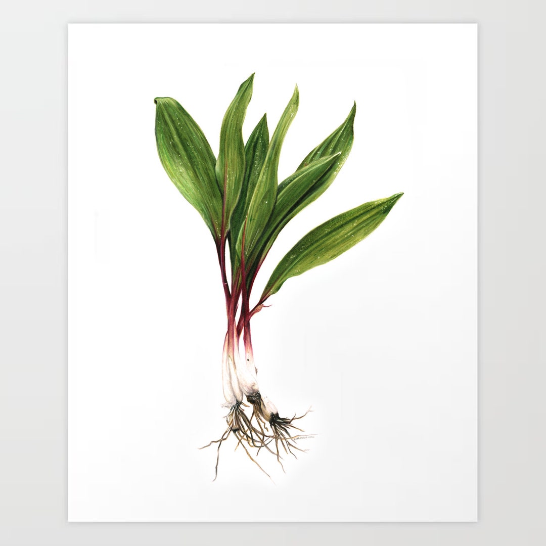Ramps - Colored Pencil Drawing - Art Print - Etsy