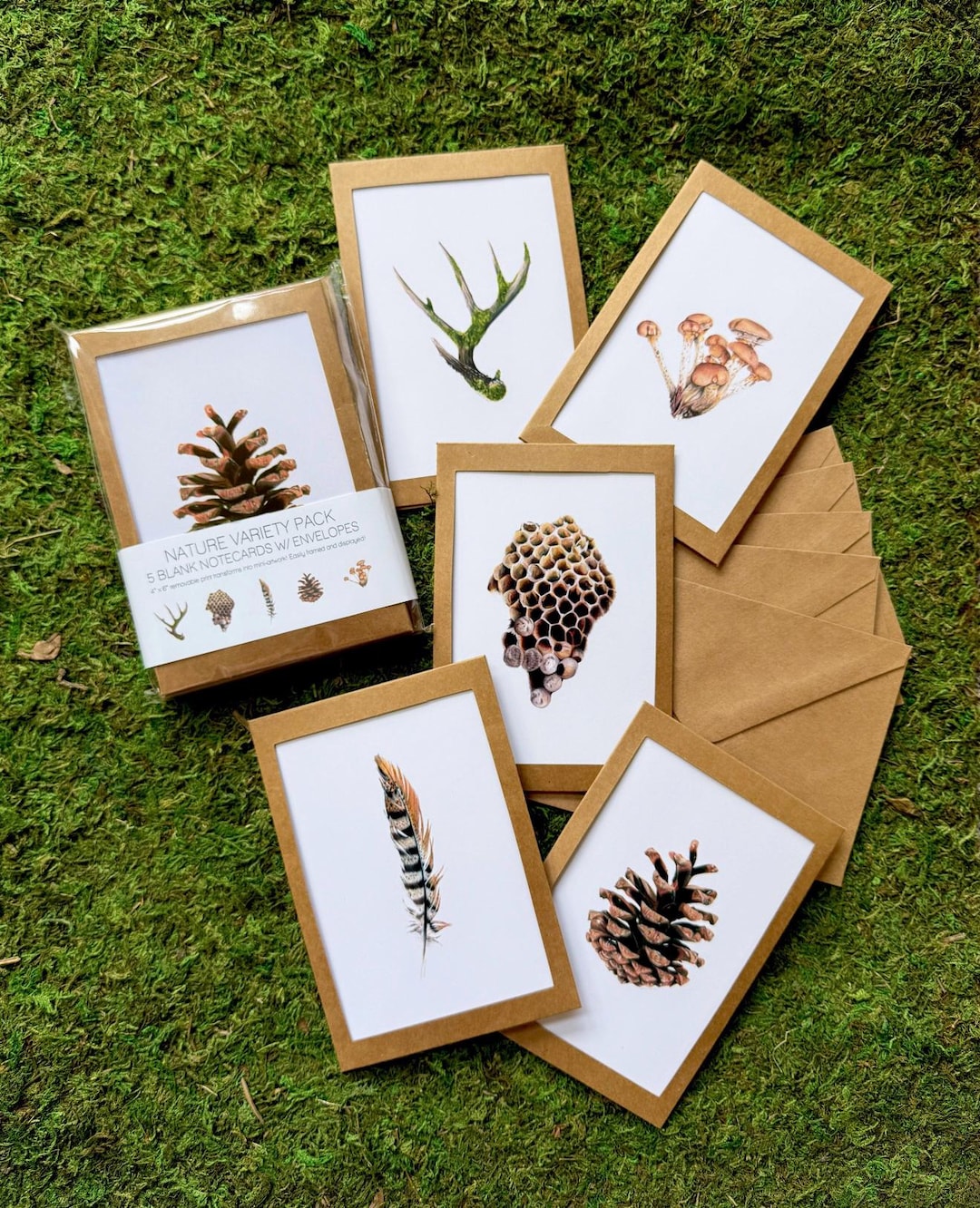5-pack "nature" Drawing Note Cards With Envelopes - Etsy