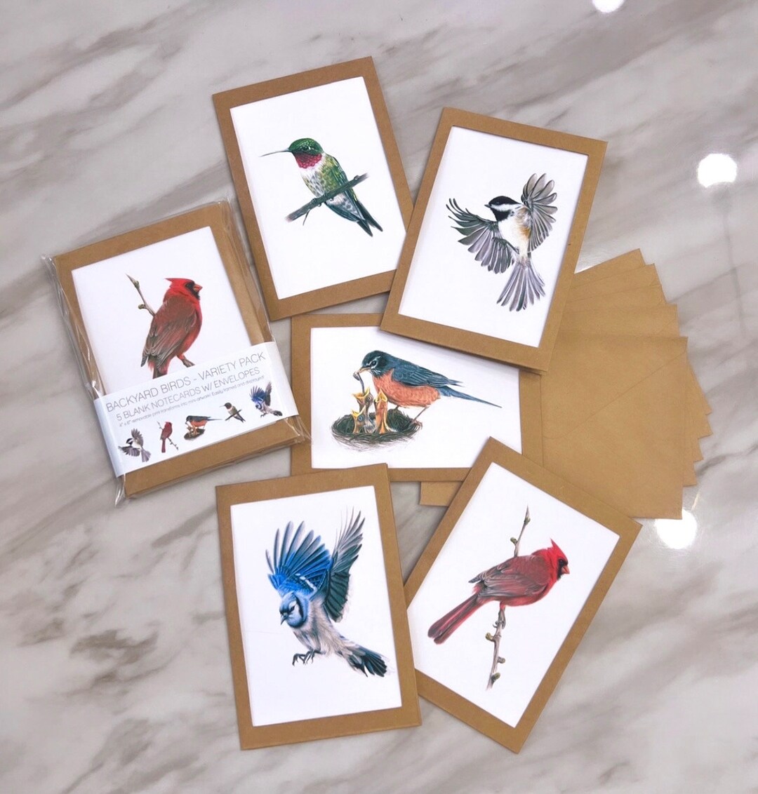 5-pack backyard Birds Drawing Note Cards With Envelopes - Etsy