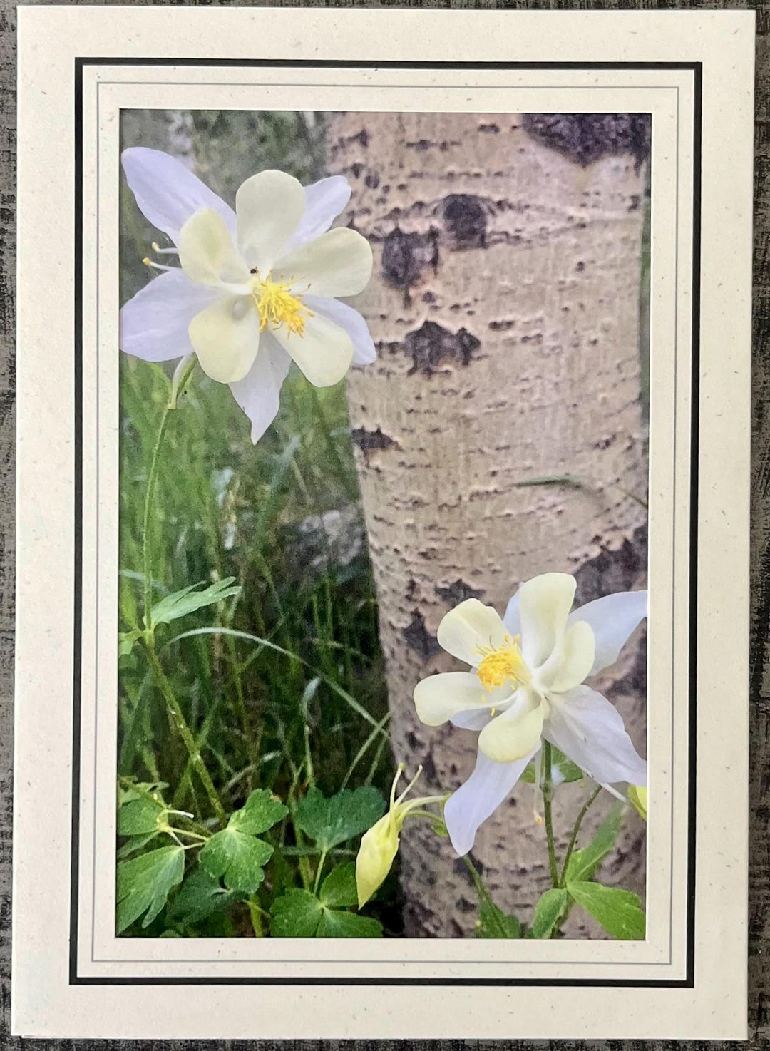 Photo Greeting Card | Wildflower Lavender Columbine Forest Flower ...