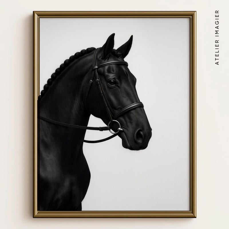Dressage Equestrian Art - Etsy