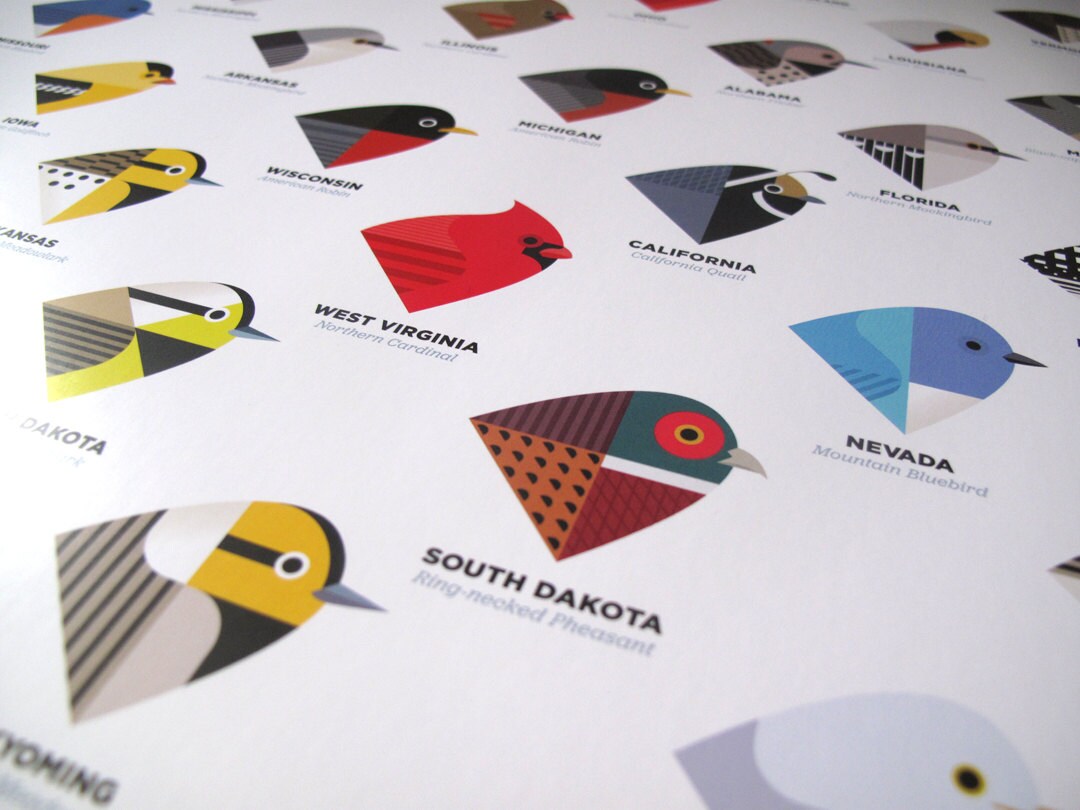 State Birds Digital Illustration / Art Print - Etsy