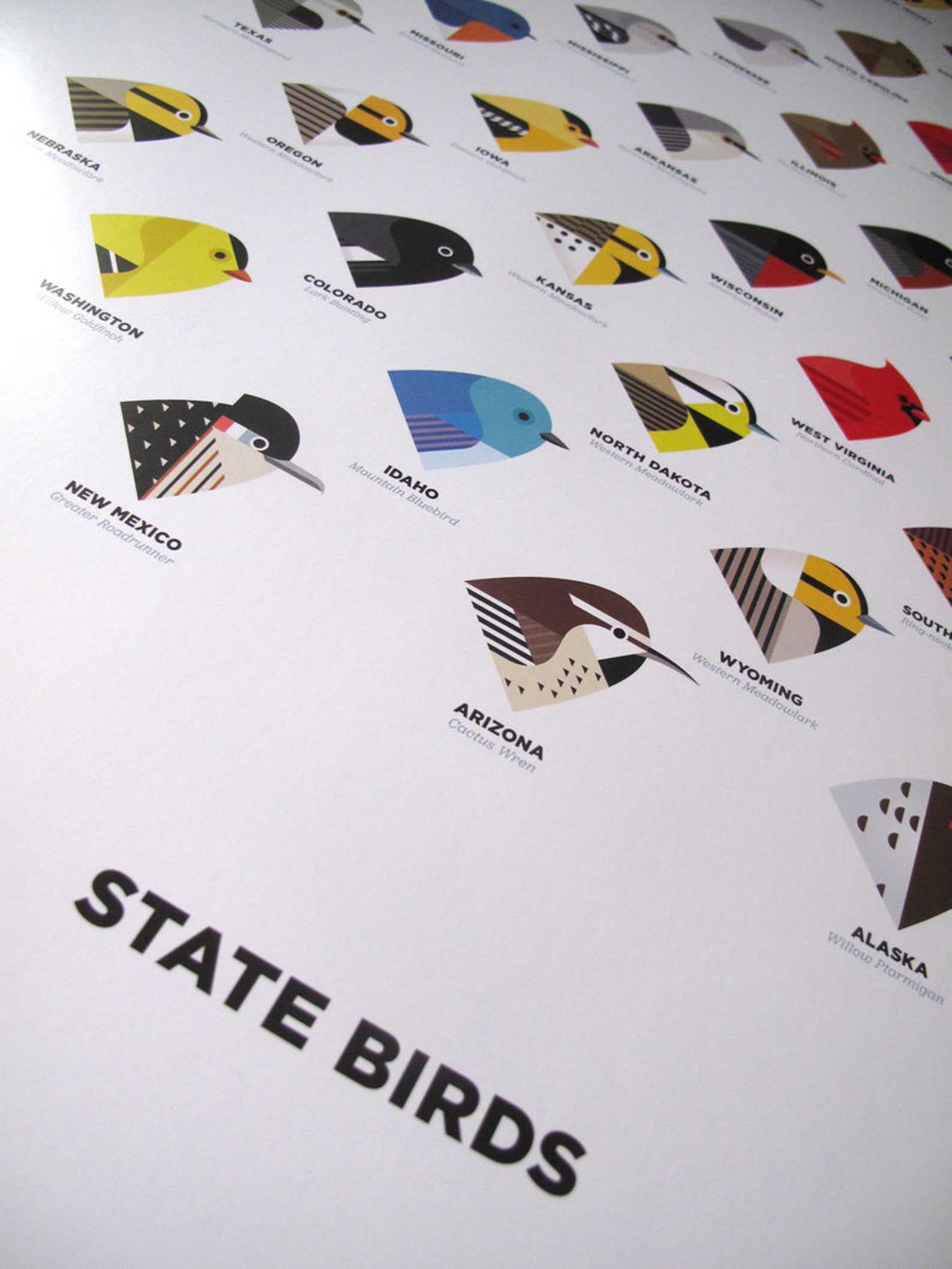 State Birds Digital Illustration / Art Print - Etsy