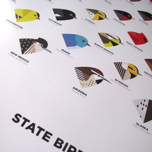 State Birds Digital Illustration / Art Print - Etsy