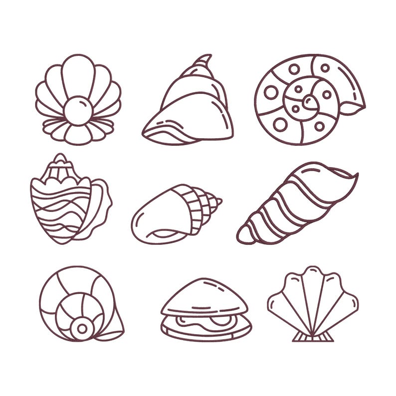 Sea Shell Line Art Design, Beach Shell Clipart Nautical Doodle Ocean ...
