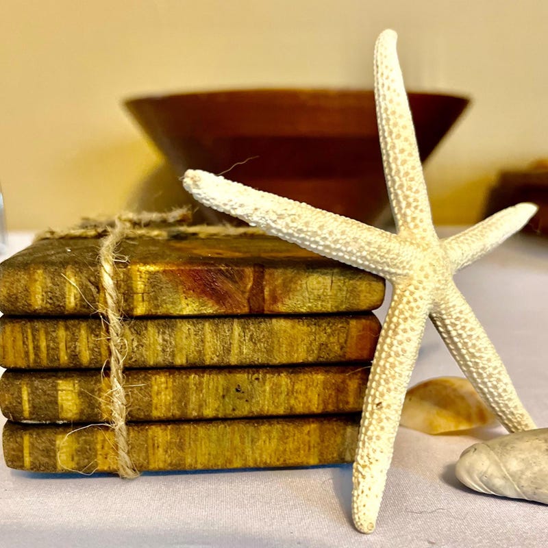 Beach Coasters - Etsy
