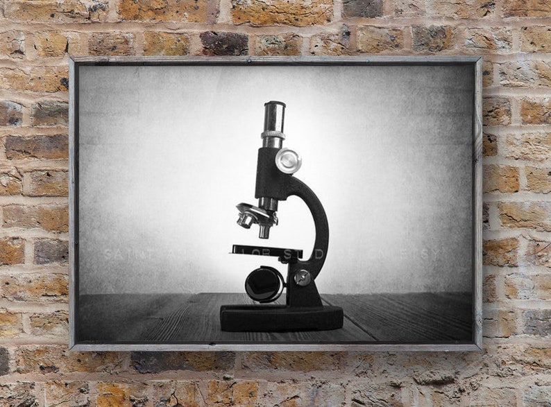 Vintage Microscope art print Science Art Schoolhouse Art | Etsy