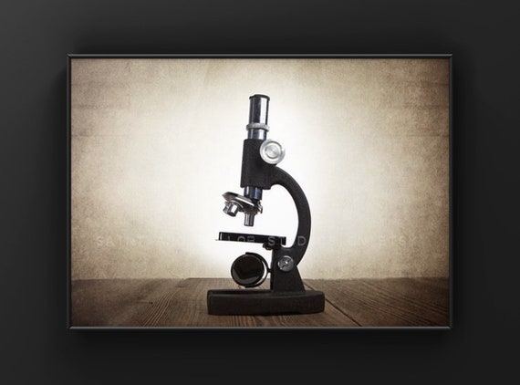 Vintage Microscope art print Science Art Schoolhouse Art | Etsy