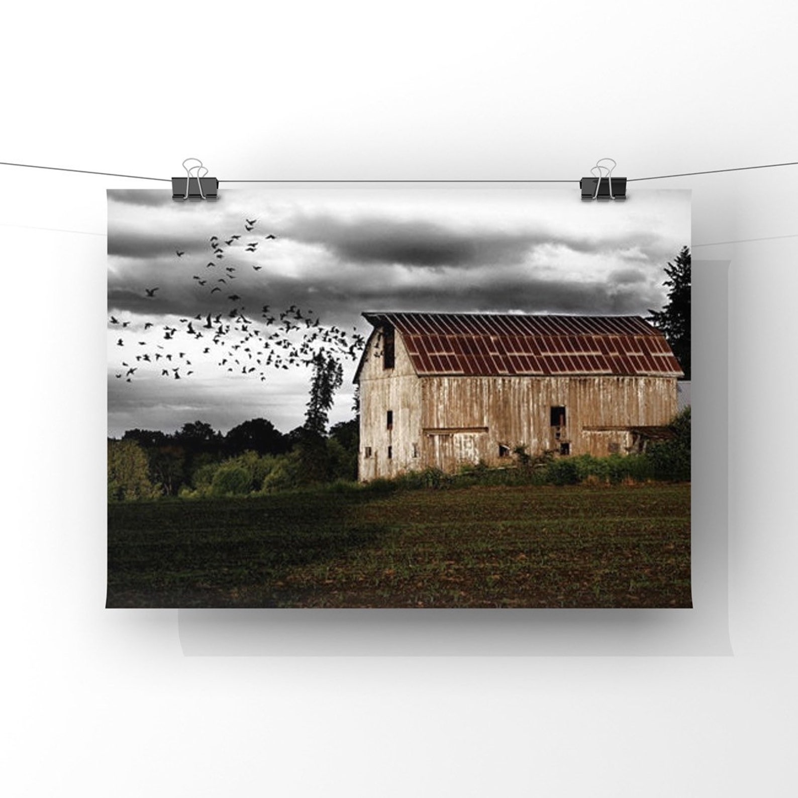 Birds in a Barn Photographic Art Print Wall Art for Home - Etsy
