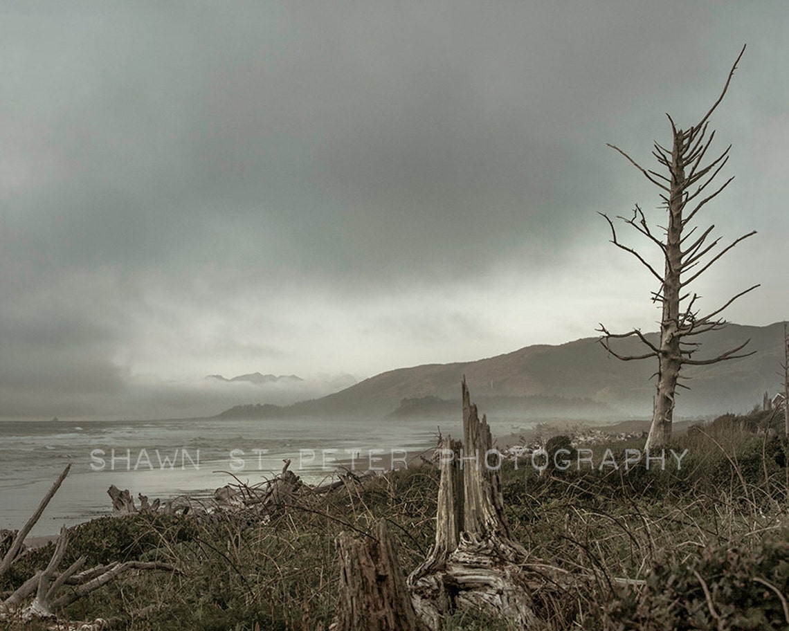 Stormy Grey Oregon Coast Beach Photo Office Decor Wall Art - Etsy