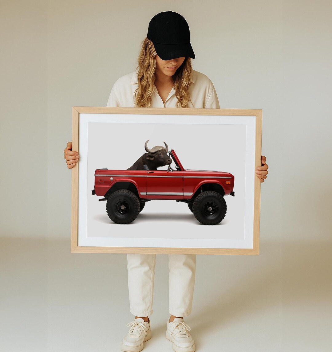 Cape Buffalo Driving Red Bronco 4x4 Art: Safari Kids Room (unframed ...