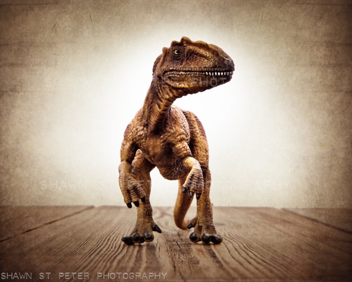 Allosaurus Dinosaur Photo Print, Boys Room Decor - Etsy