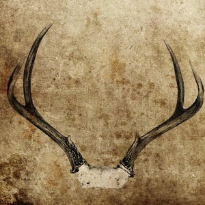 Rustic Antlers Photo Print, Vintage Style Wall Art - Etsy